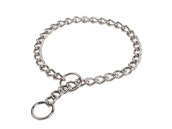 The 10 Best Chain Dog Collars of 2025 (Reviews) - FindThisBest