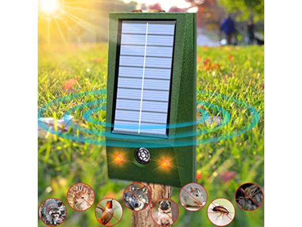 The 5 Best Cockroach Ultrasonic Repellers of 2024 (Reviews) - FindThisBest