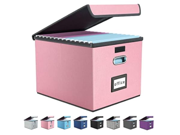 The 10 Best Collapsible File Storage Boxes of 2024 (Reviews) - FindThisBest