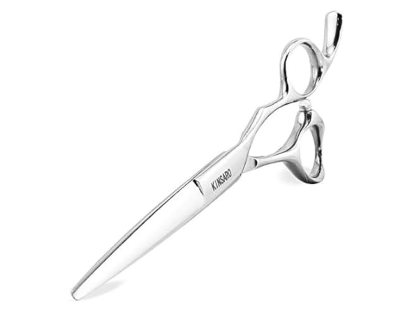 The 10 Best Convex Edge Hair Cutting Shears of 2026 (Reviews ...