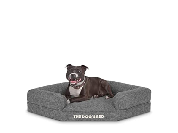 The 10 Best Corner Dog Beds of 2024 (Reviews) - FindThisBest
