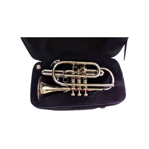The 10 Best Cornets of 2023 (Reviews) - FindThisBest