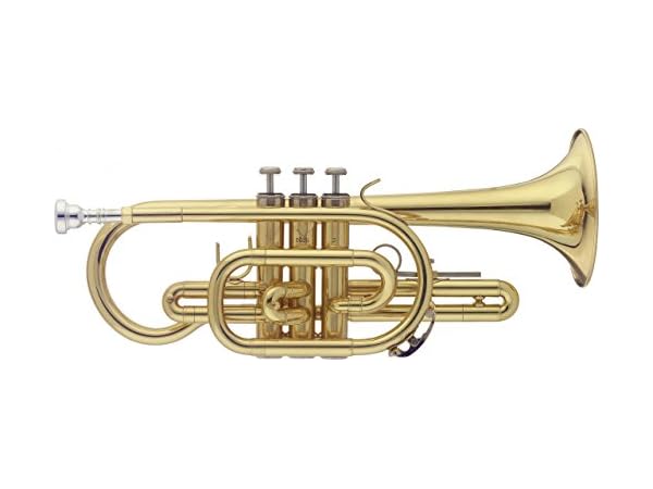 The 10 Best Cornets of 2024 (Reviews) - FindThisBest