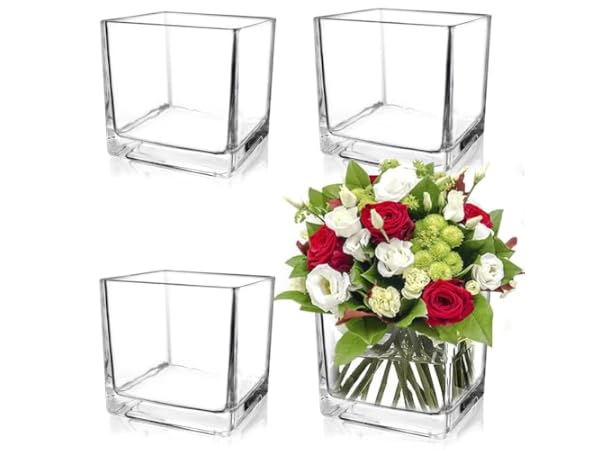 The 10 Best Cube Glass Vases of 2025 (Reviews) - FindThisBest