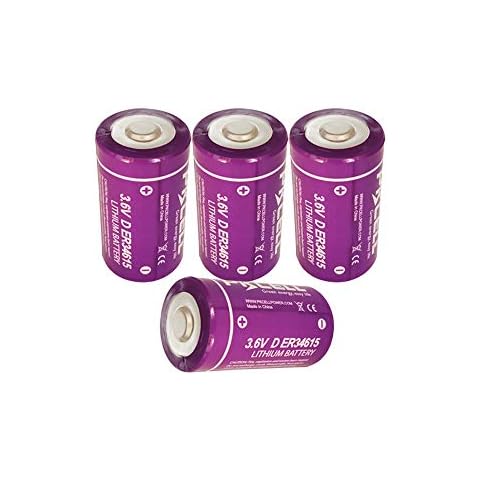 The 9 Best Lithium D Batteries of 2023 (Reviews) - FindThisBest