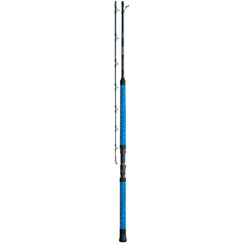 The 10 Best Daiwa Fishing Rods of 2023 - FindThisBest