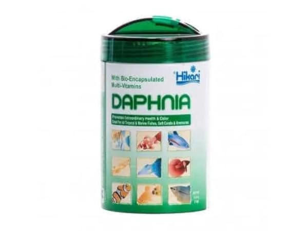 The 9 Best Daphnia Fish Food of 2025 (Reviews) - FindThisBest