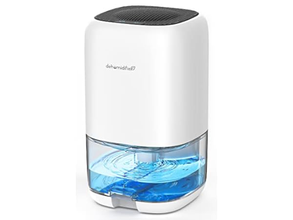 The 10 Best Dehumidifiers for Small Room of 2025 (Reviews) - FindThisBest
