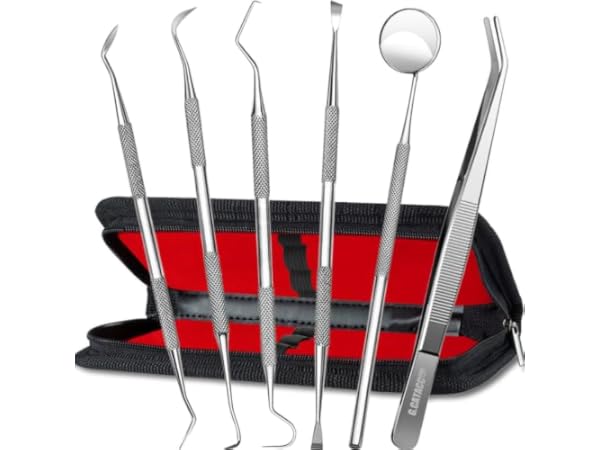 The 10 Best Dental Care Kits of 2025 (Reviews) - FindThisBest