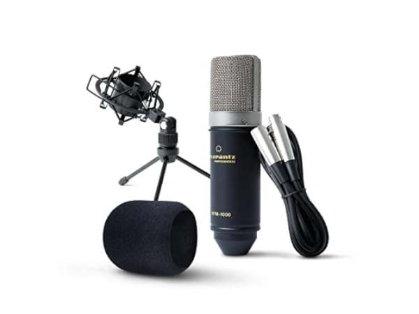 The 10 Best Desktop Studio Microphones of 2024 (Reviews) - FindThisBest
