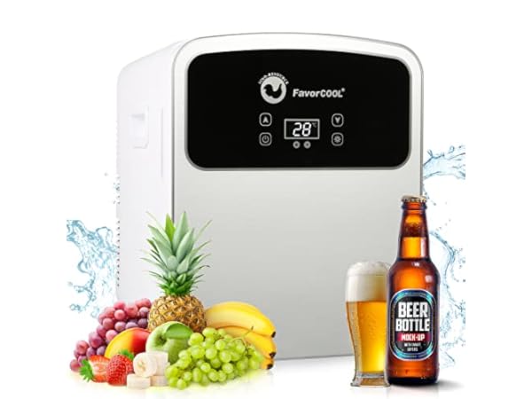 The 9 Best Digital Temperature Control Compact Refrigerators of 2025 ...