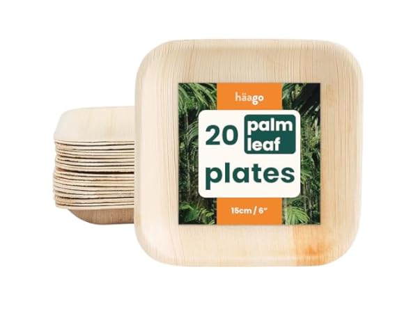 The 10 Best Disposable Dinner Plates of 2025 (Reviews) - FindThisBest