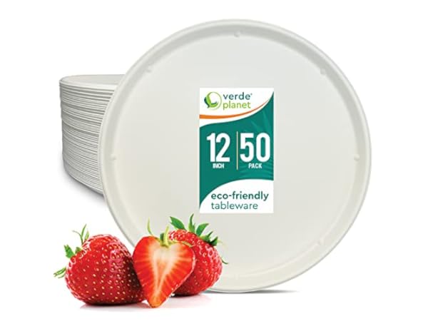The 9 Best Disposable Plates for Pizza of 2024 (Reviews) - FindThisBest