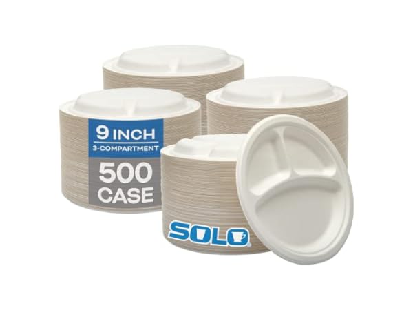 The 10 Best Divided Disposable Plates of 2026 (Reviews) - FindThisBest