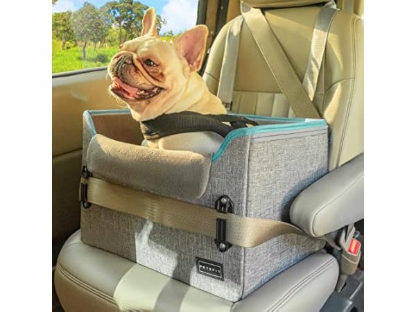 The 10 Best Dog Booster Seats of 2025 (Reviews) - FindThisBest