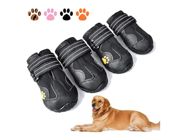 The 5 Best Dog Boots for German Shepherd of 2024 (Reviews) - FindThisBest