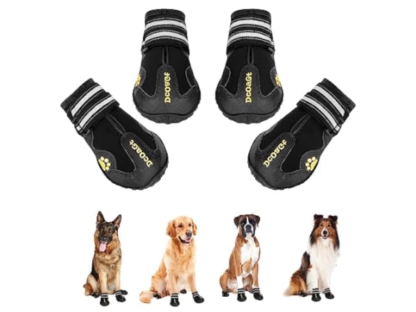 The 5 Best Dog Boots for German Shepherd of 2025 (Reviews) - FindThisBest