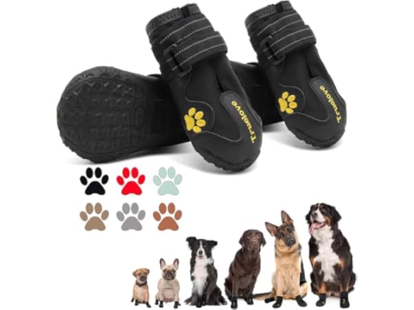 The 8 Best Dog Boots for Labrador Retriever of 2025 (Reviews ...