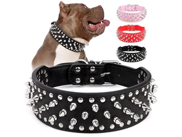 The 10 Best Dog Collars for Rottweiler of 2025 (Reviews) - FindThisBest