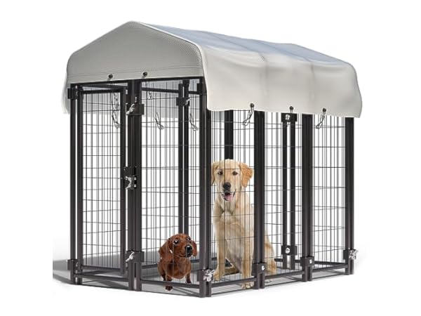 The 10 Best Dog Enclosures of 2024 (Reviews) - FindThisBest