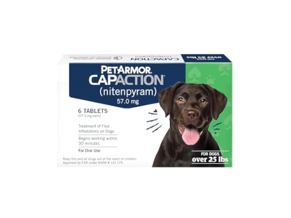 The 10 Best Dog Flea Pills of 2026 (Reviews) - FindThisBest