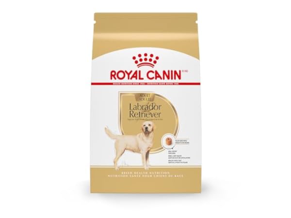 The 6 Best Dog Food for Labs of 2025 (Reviews) - FindThisBest