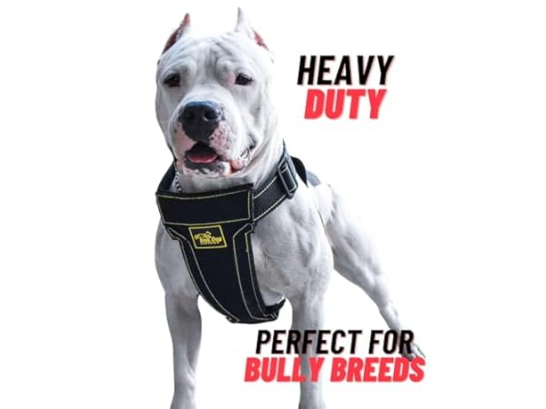 The 8 Best Dog Vest Harnesses for Boxer of 2025 (Reviews) - FindThisBest