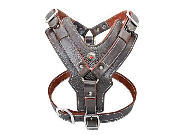 The 10 Best Dog Vest Harnesses for Boxer of 2023 (Reviews) - FindThisBest