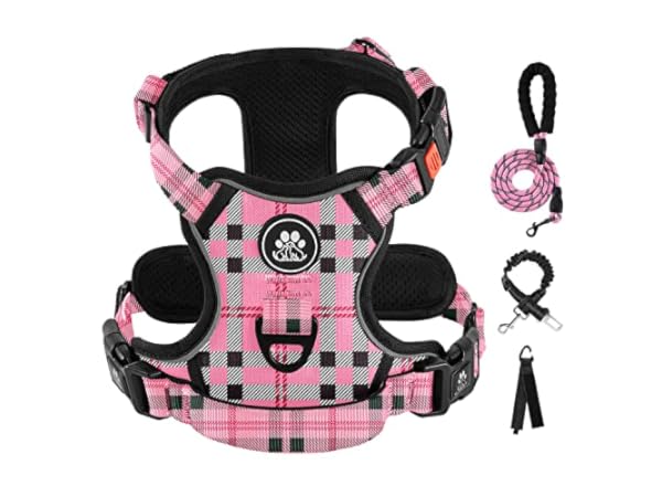 The 10 Best Dog Vest Harnesses for Boxer of 2026 (Reviews) - FindThisBest