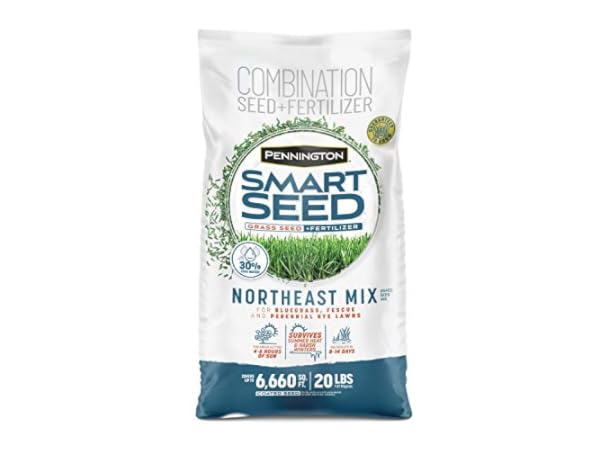 The 10 Best Drought Grass Seed Of 2024 Reviews Findthisbest