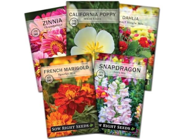 The 10 Best Dwarf Flower Seeds of 2025 (Reviews) - FindThisBest