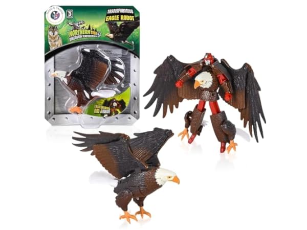 The 10 Best Eagles Action Figures of 2025 (Reviews) - FindThisBest