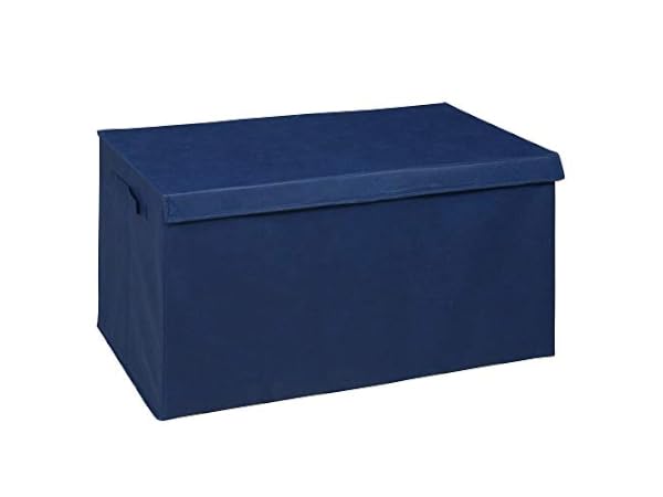 The 7 Best Fabric Storage Trunks of 2026 (Reviews) - FindThisBest