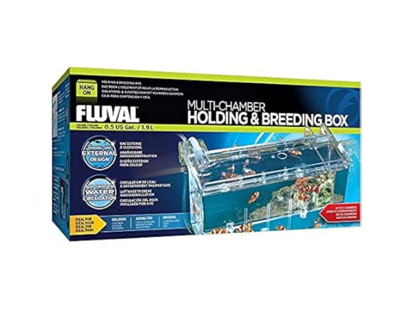 The 10 Best Fish Breeder Boxes of 2024 (Reviews) - FindThisBest
