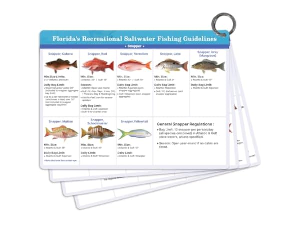 The 10 Best Fishing Charts & Maps of 2026 (Reviews) - FindThisBest