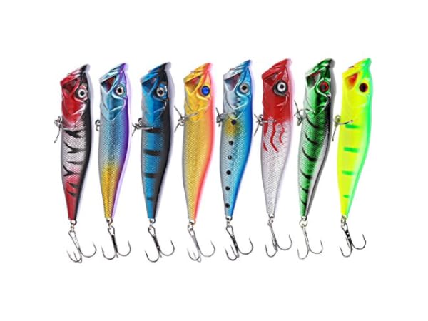 The 10 Best Floating Fishing Topwater Lures of 2026 (Reviews ...