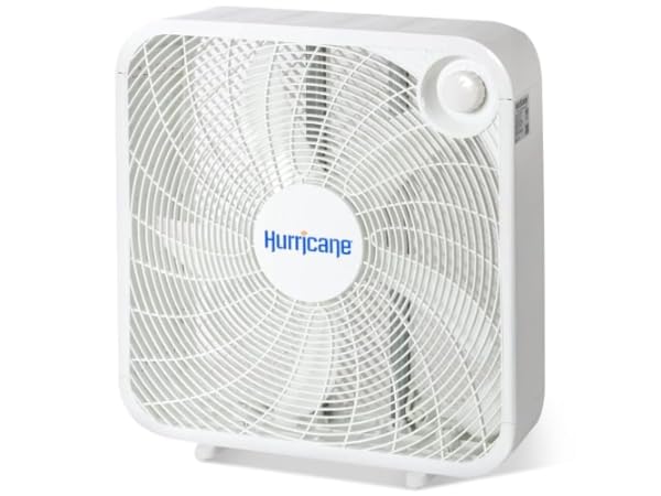 The 5 Best Floor Fans for Basement of 2026 (Reviews) - FindThisBest