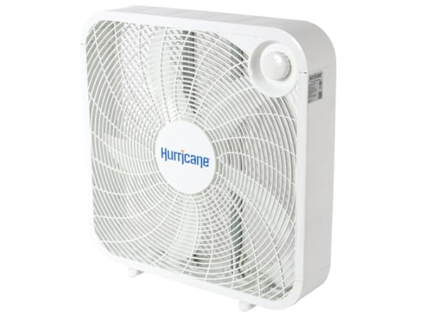 The 10 Best Floor Fans for Cooling of 2026 (Reviews) - FindThisBest