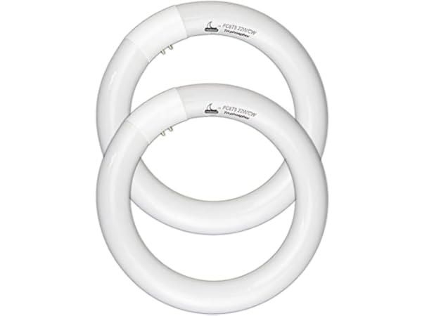 The 8 Best Fluorescent Light Bulbs for Ring of 2024 (Reviews ...