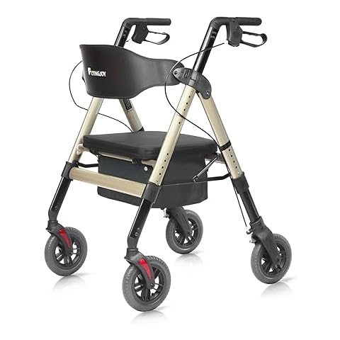 FlyingJoy Review of 2024 - Rolling Walkers Brand - FindThisBest