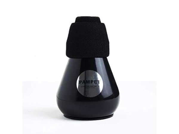 The 10 Best French Horn Mutes of 2025 (Reviews) - FindThisBest