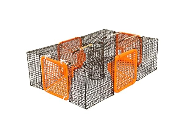 The 10 Best Freshwater Fishing Bait Traps of 2024 (Reviews) - FindThisBest