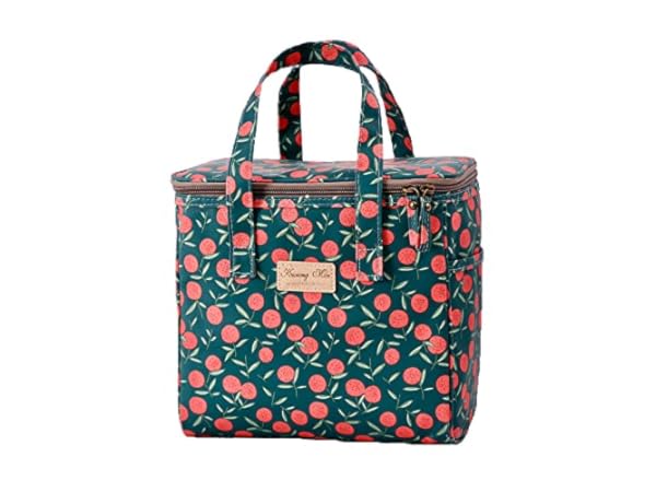 The 10 Best Fruit Lunch Box Coolers of 2024 (Reviews) - FindThisBest