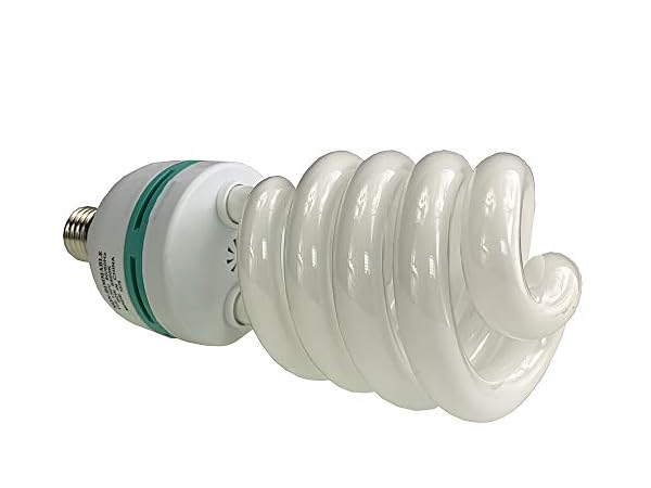 The 10 Best Full Spectrum Compact Fluorescent Bulbs of 2025 (Reviews ...