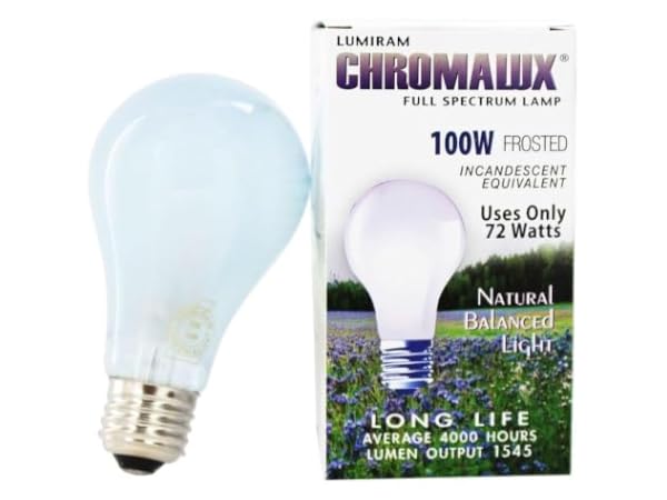 The 4 Best Full Spectrum Incandescent Bulbs of 2026 (Reviews ...