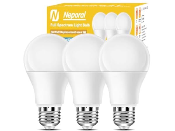 The 10 Best Full Spectrum LED Bulbs of 2025 (Reviews) - FindThisBest