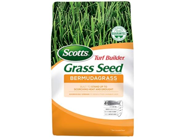 The 10 Best Full Sun Grass Seed of 2024 (Reviews) - FindThisBest