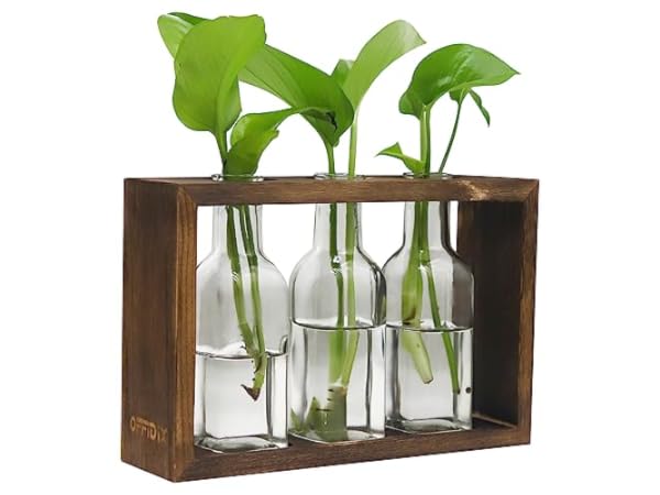 The 6 Best Glass Plant Stands of 2025 (Reviews) - FindThisBest