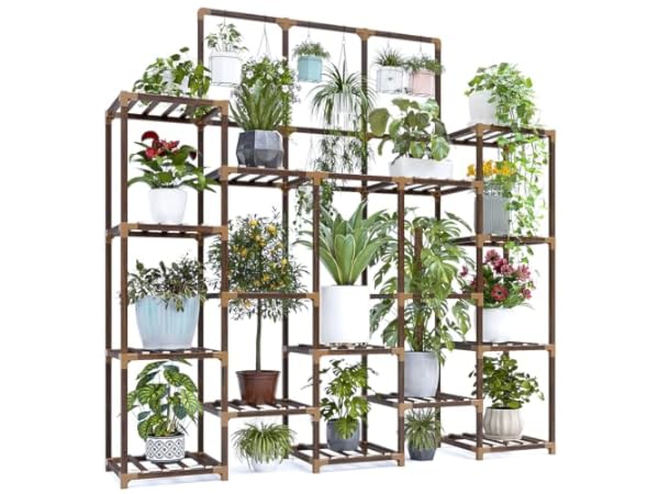 The 10 Best Glass Plant Stands of 2026 (Reviews) - FindThisBest