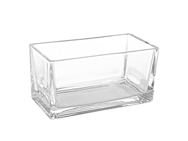 The 10 Best Glass Planters of 2025 (Reviews) - FindThisBest